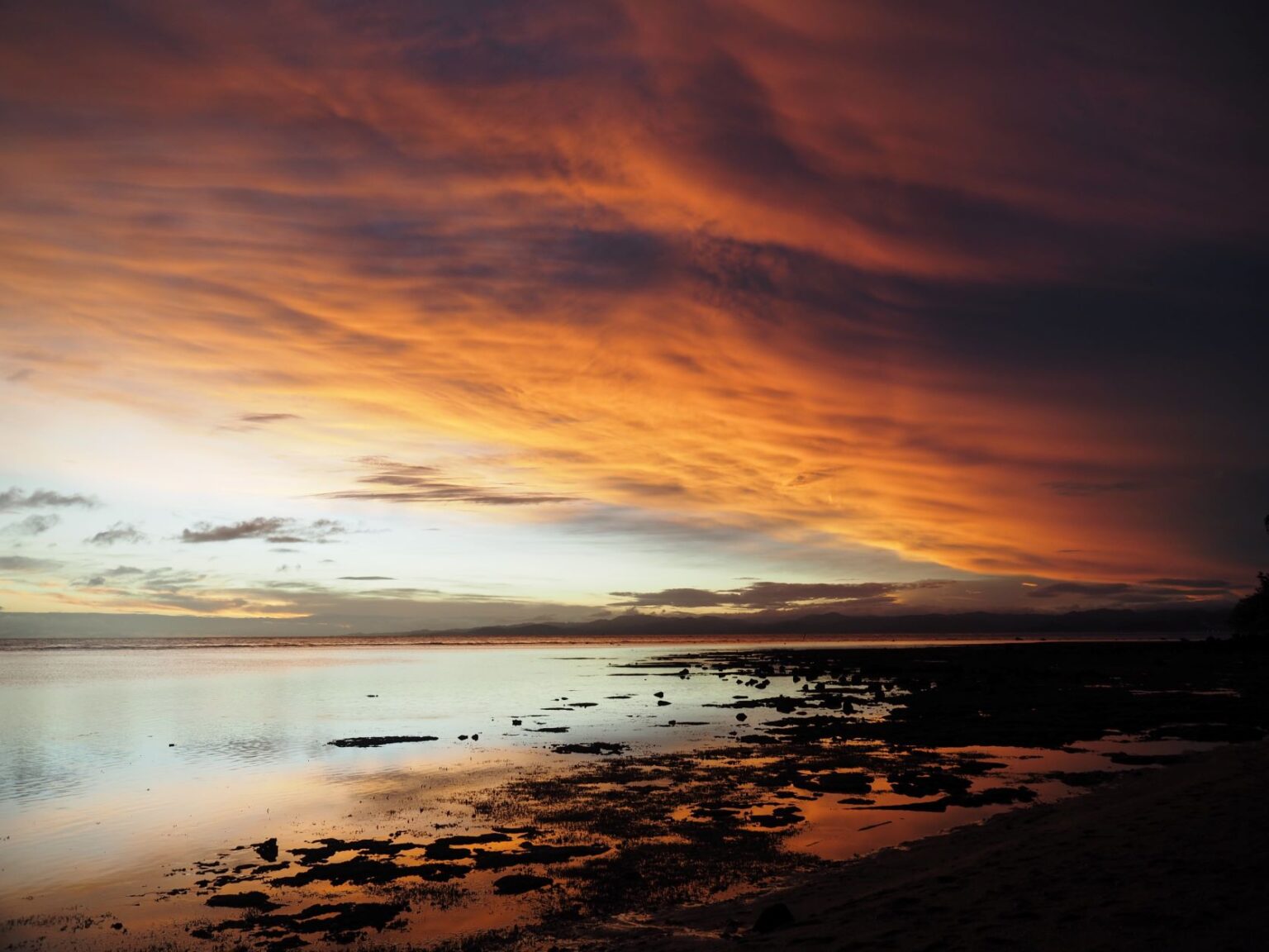 FIJI Beqa Lagoon Tiger Shark Dives - July 2024 - JettyDive