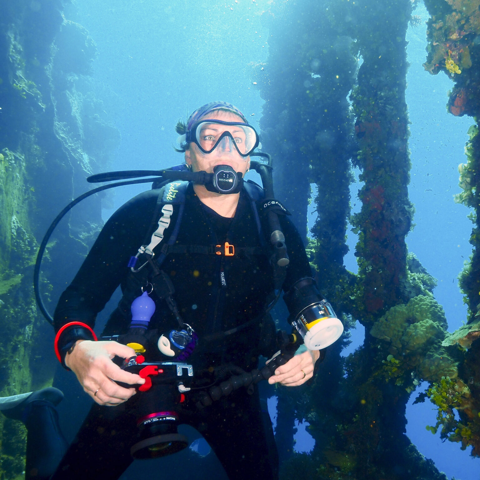 Jetty Dive Team - JettyDive