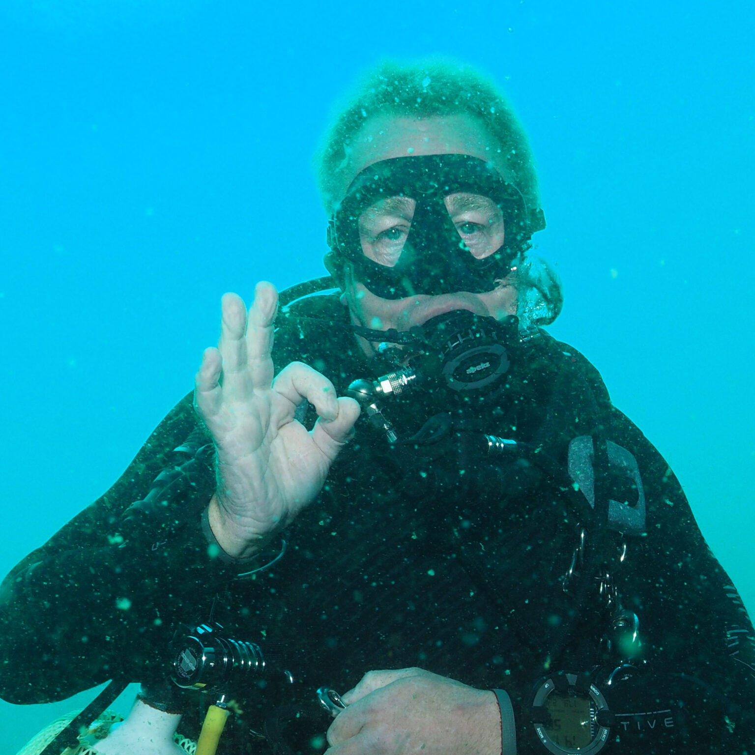 Jetty Dive Team - JettyDive