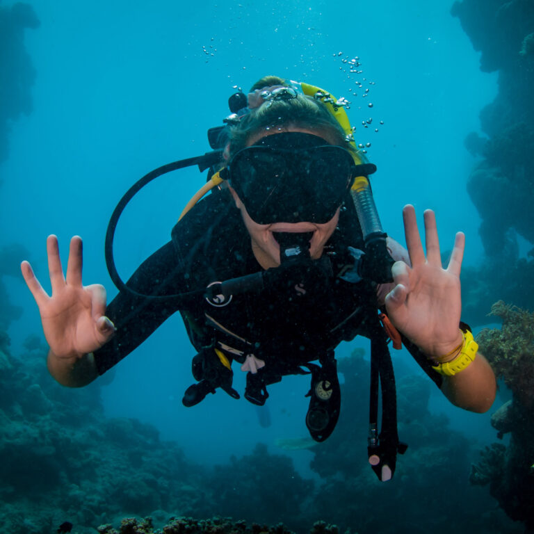 Jetty Dive Team - JettyDive
